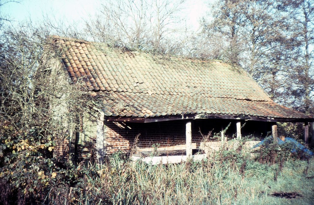 The making of Strumpshaw Fen (1960s-2018) - WISEArchive