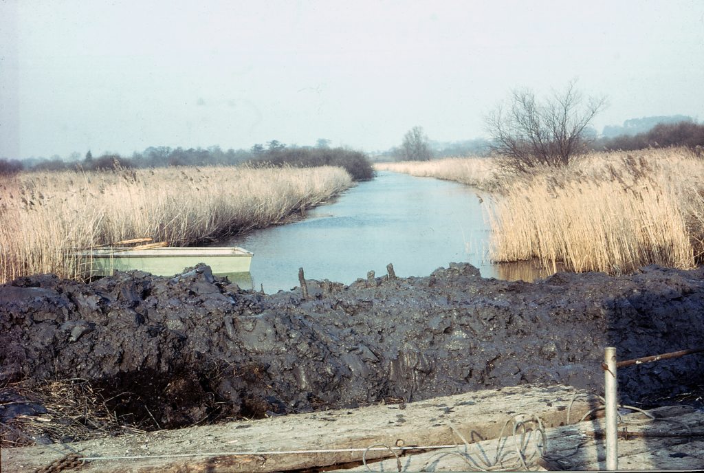 The making of Strumpshaw Fen (1960s-2018) - WISEArchive